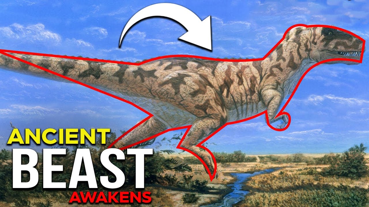Could a T-Rex Frozen for Millions of Years Still Exist? - YouTube