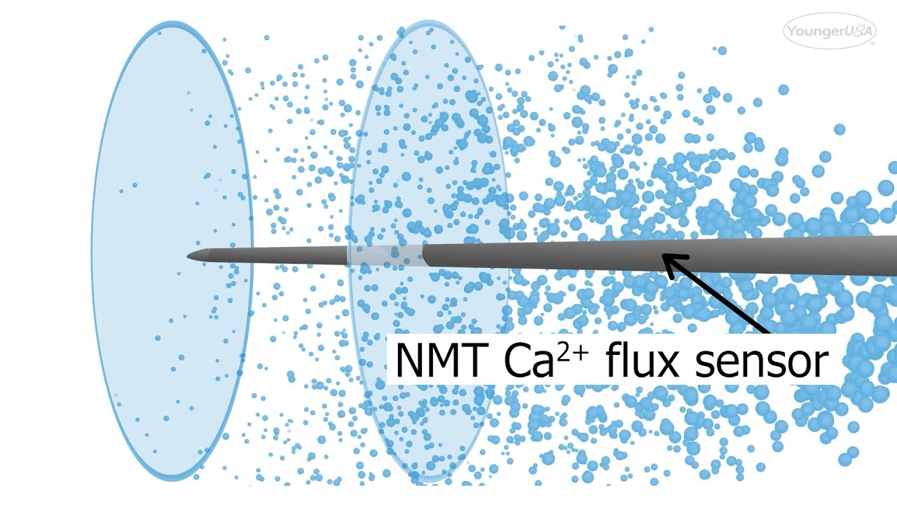 NMT Introduction: Ion and Molecule Fluxes Reveal Physiology of Intact ...
