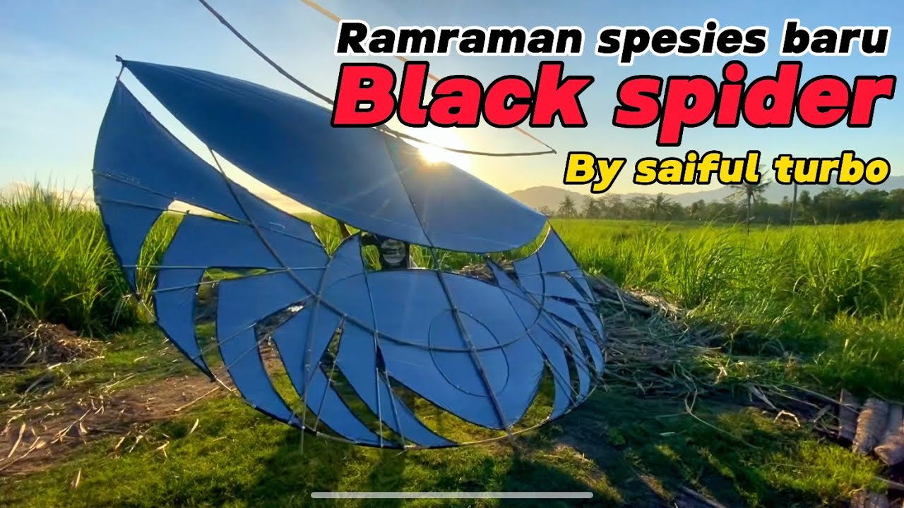 black spider ramraman spesies baru karya mr saiful turukbo - YouTube