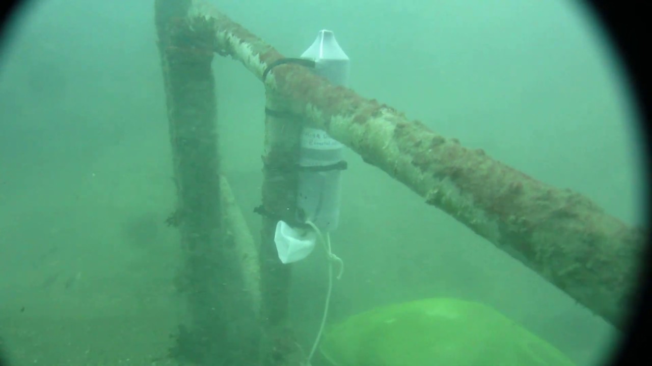 Vemco acoustic receiver at Frying Pan Tower with SharkCam - YouTube