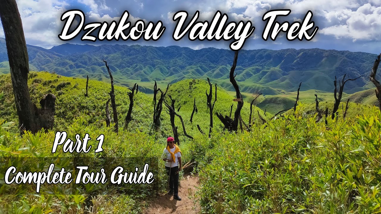 Dzukou Valley Trek via Viswema, Nagaland | All You Need to Know | Pt 1 ...