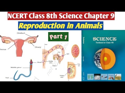 NCERT Class 8th Science | Chapter 9| Reproduction in Animals | Part 1 ...