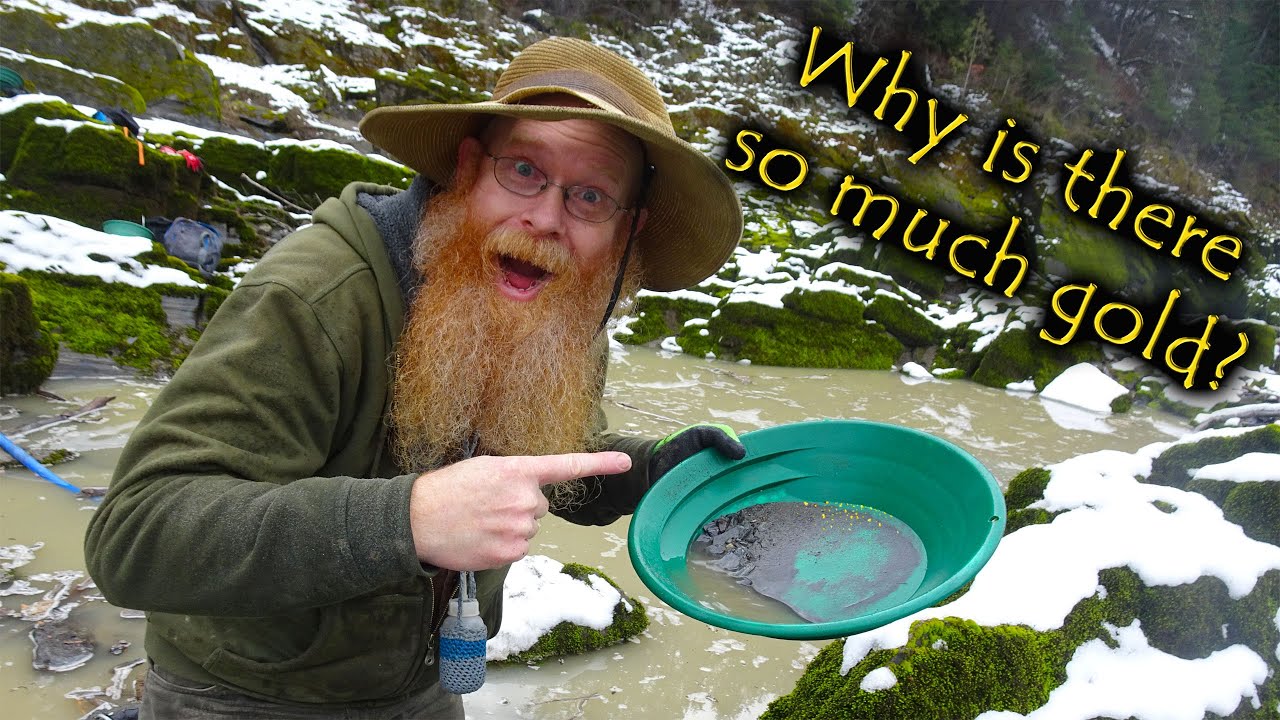 Fraser River Gold Rush