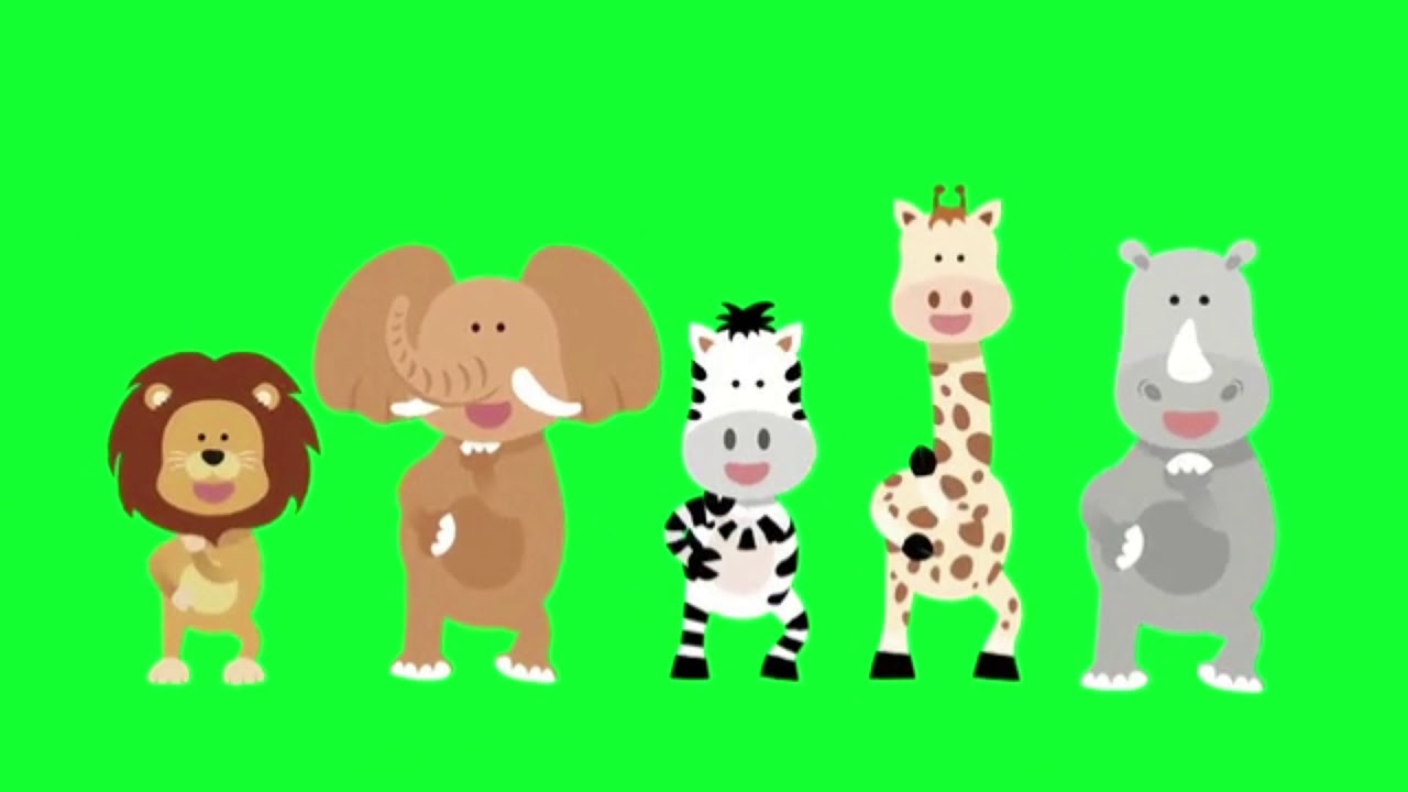 green screen dancing animals - YouTube