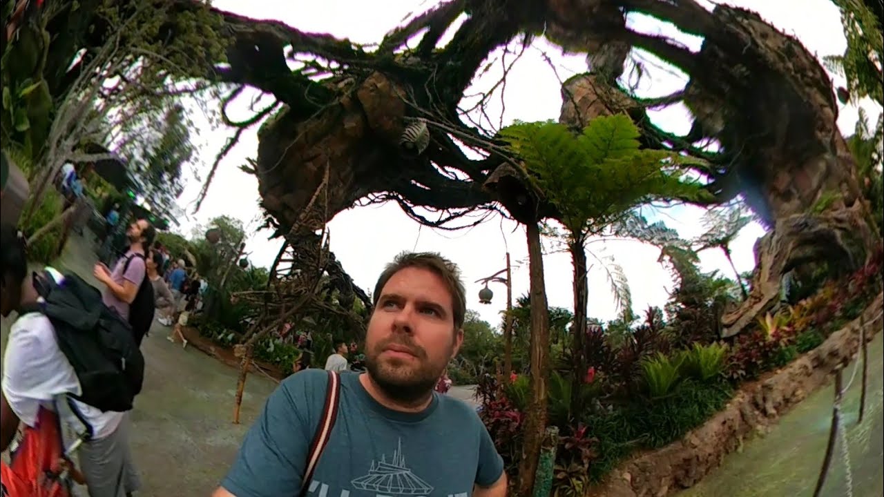 Pandora World of Avatar 360° Walkthrough 30th Nov 2018 VR WDW Animal ...