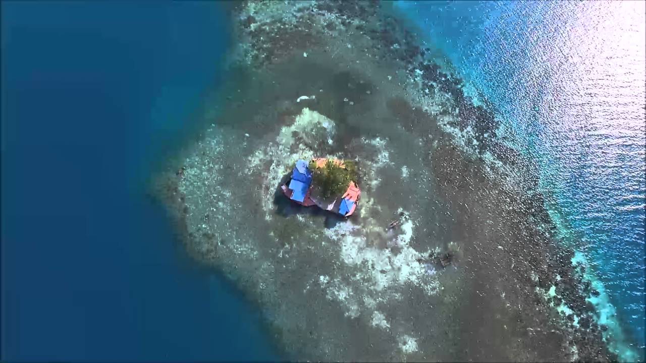 Bird Island aerial view - YouTube