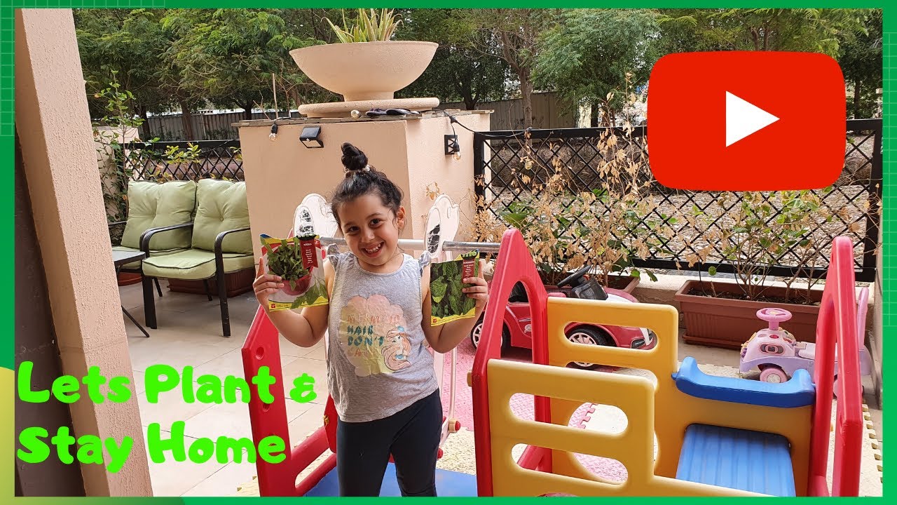 Lets Plant with LoLo - Stay Home I طريقة بسيطة ومسلية للزراعة في البيت ...