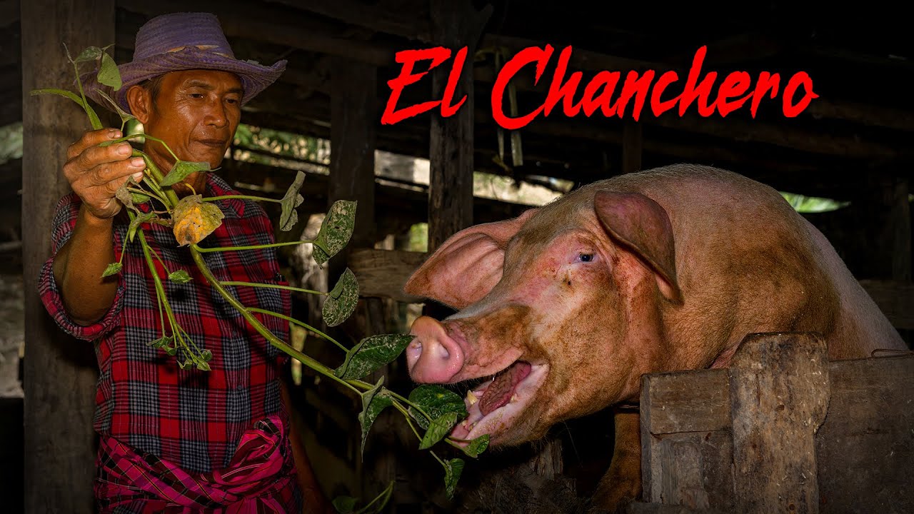 EL CHANCHERO | Cuentos y Leyendas de Honduras - YouTube