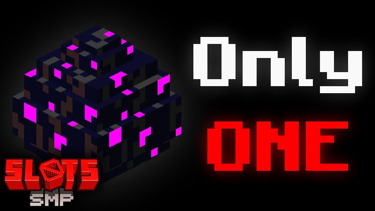 Fighting the Entire Server for the Rarest Item (Slots SMP Endfight ...