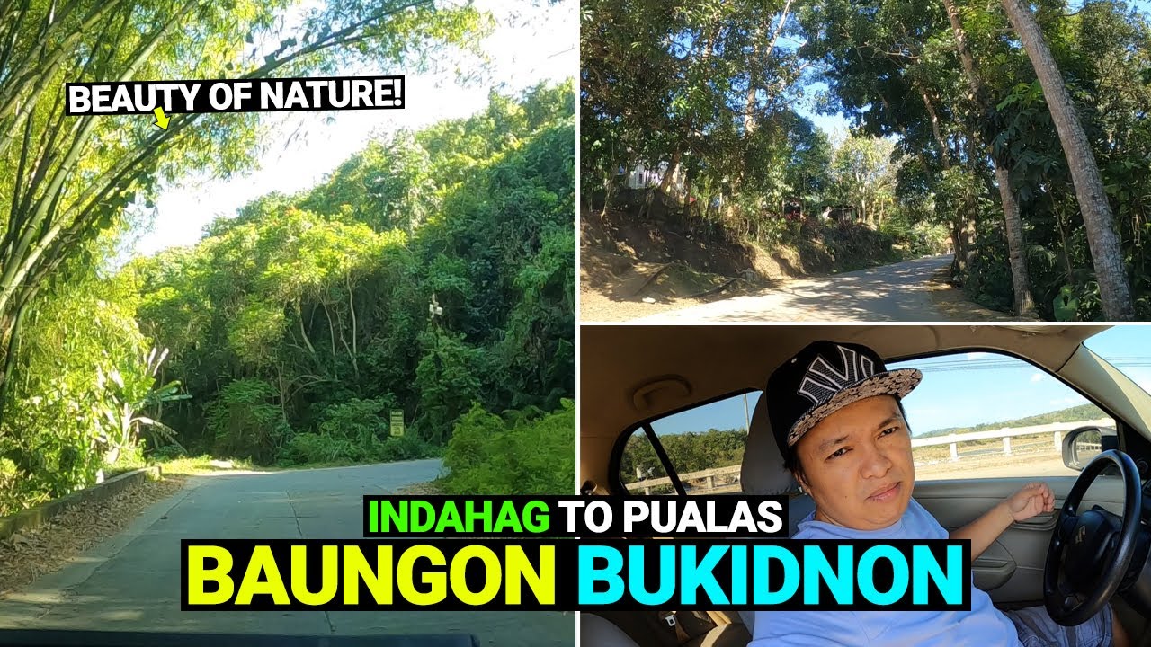 ROAD GOING TO ULTRA WINDS MOUNTAIN RESORT! Pualas, Baungon, Bukidnon ...