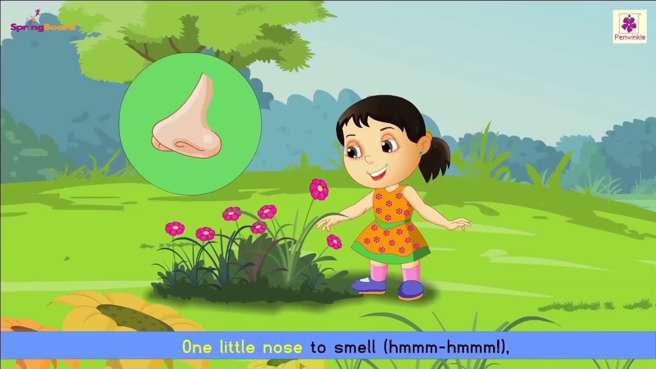 My Face | Nursery Rhymes For Kids | Periwinkle - YouTube
