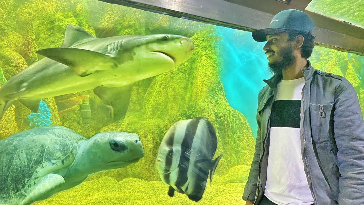 Radiant Fish World, Cox Bazar, রেডিয়ান্ট ফিশ ওয়াল্ড, কক্সবাজার। - YouTube
