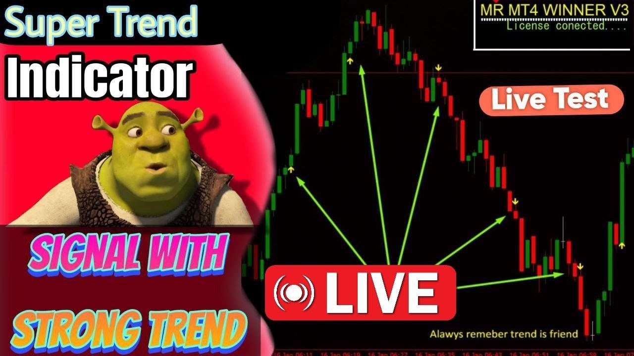 mr Mt4 Winner v3 live Accuracy , Mt4 Best Trendy indicator for binary ...