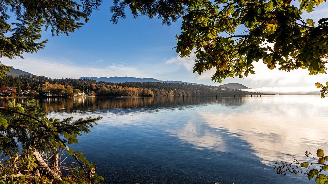 Maplewood Flats Conservation area - Wild Bird Trust of BC - YouTube