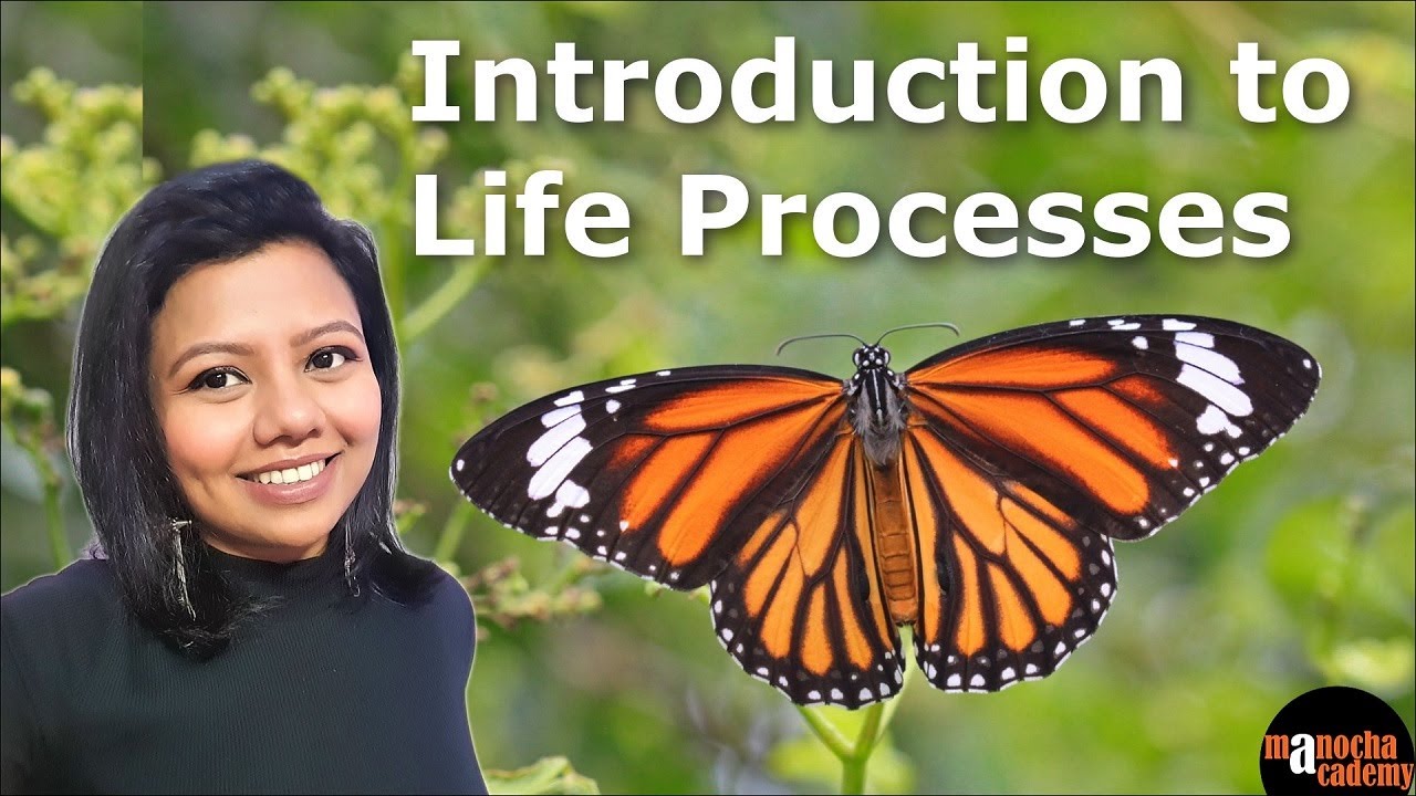 Life Processes Class 10 Science Biology - YouTube