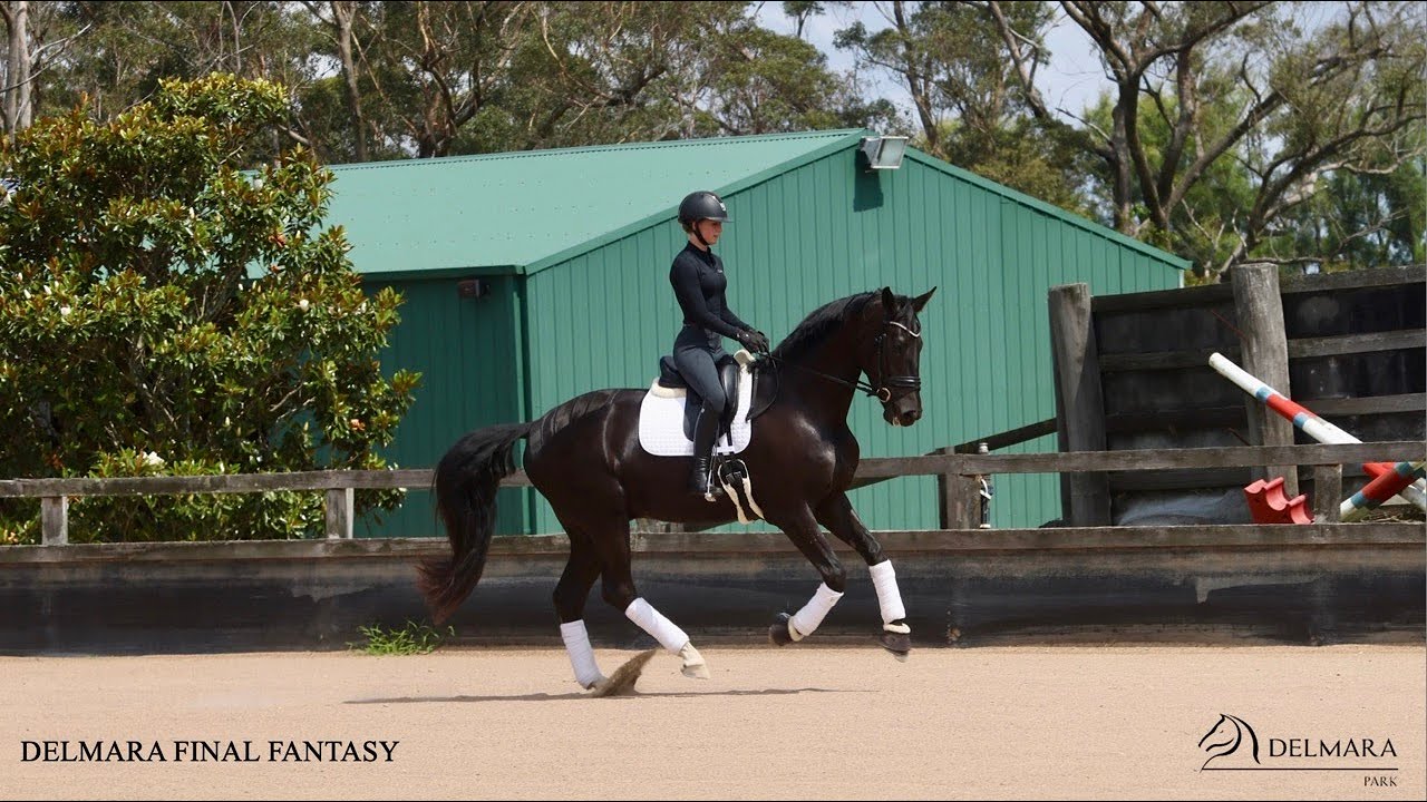 Delmara Final Fantasy - YouTube