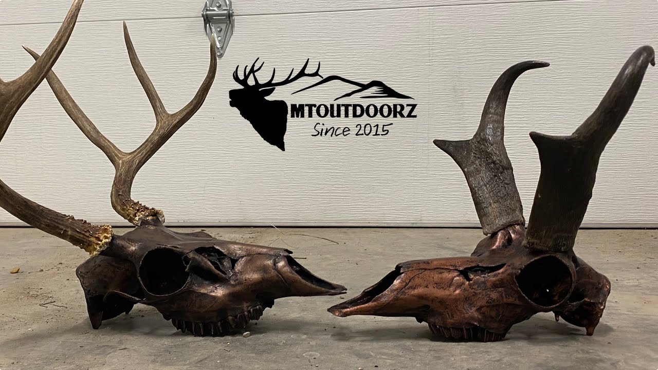 (HOW TO) Metal finish on a deer skull - YouTube