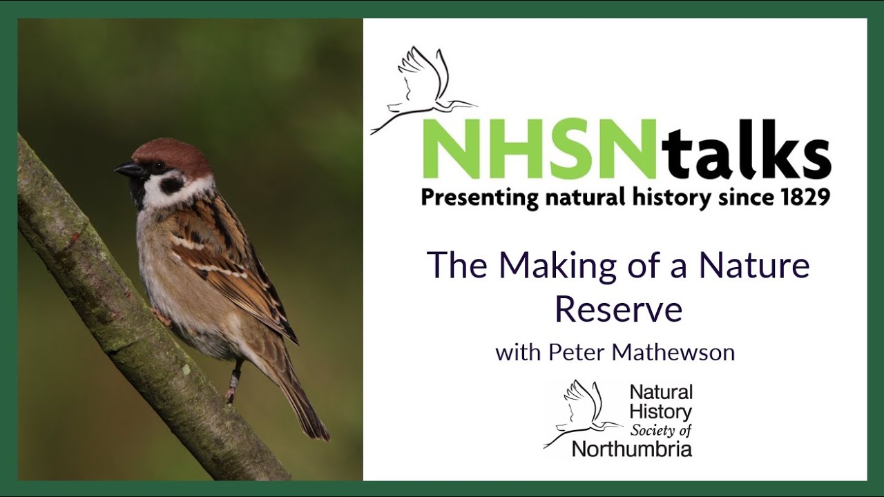 The Making of a Nature Reserve - YouTube