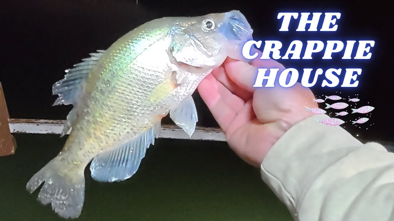 Crappie House Fishing - YouTube