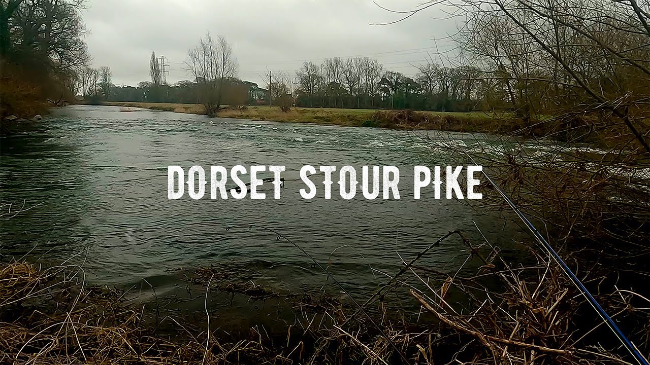 Big Pike On A Fly | Fly Fishing For Pike | Dorset Stour - YouTube