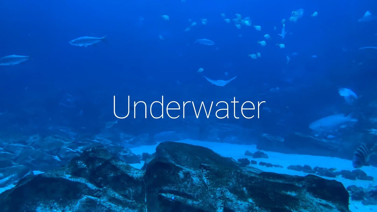 Underwater 🐋 | Underwater Sounds ASMR for Relaxing, Sleeping - YouTube