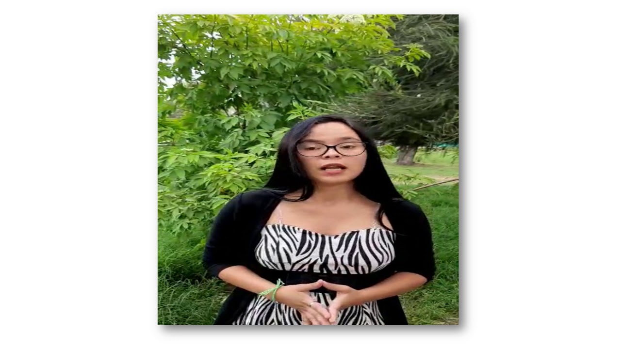 Video Yuliana Youtube