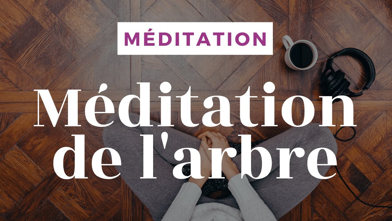 Méditation pour tous - Méditation de l'arbre [12 minutes] | YOGA DES ...