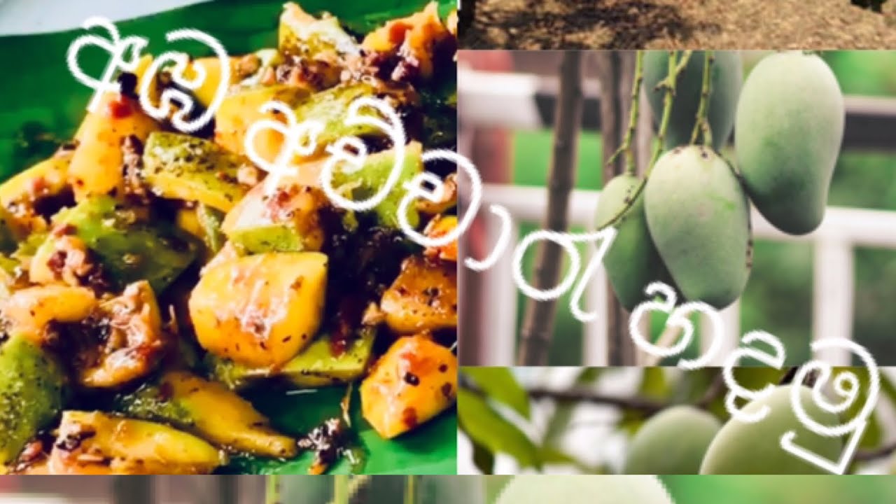 අඹ අච්චාරු කමු ත ෴ Sl with Chathu foods - YouTube
