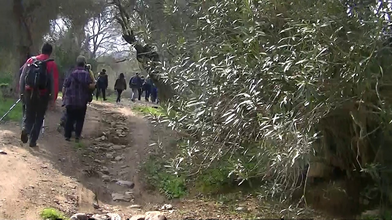 Πεζοπορια στην περιοχη Μεσαγρου Γέρας με τον ΟΡΕΙΑΣ, Βιντεο 12ο - YouTube