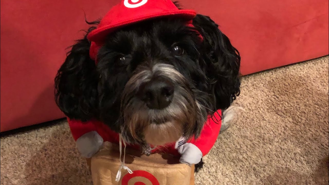 Factory errors (not for kids!!!!) - YouTube