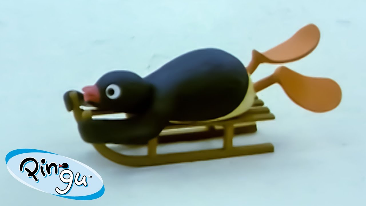 Pingu Tobogganing 🐧 | Pingu - Official Channel | Cartoons For Kids ...
