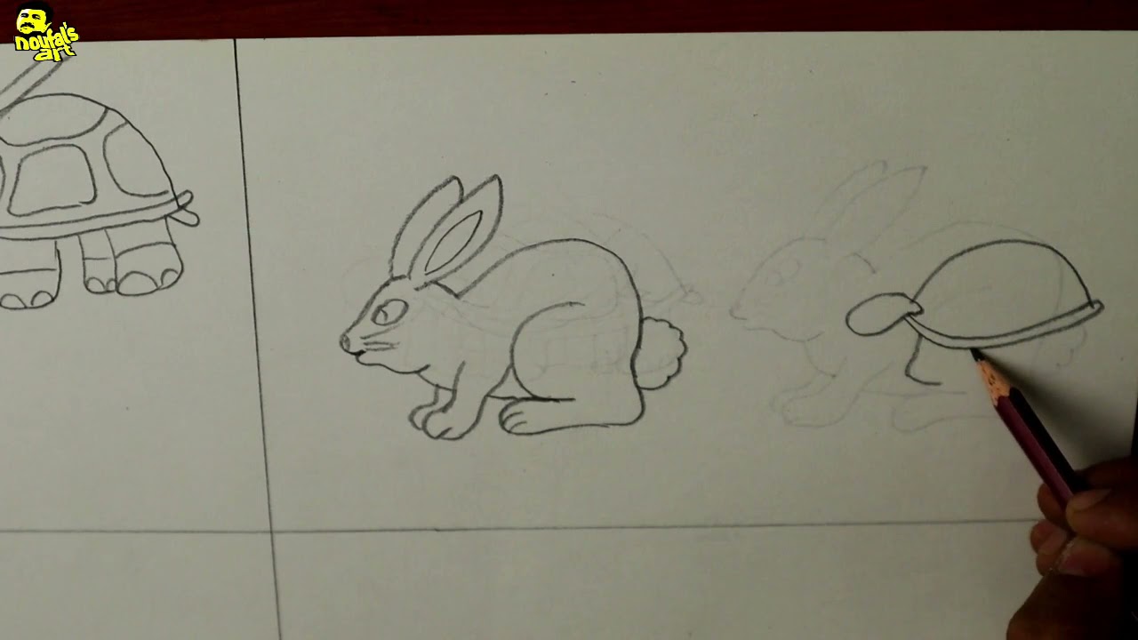How to draw a Rabbit and Tortoise Step by Step | Easy drawings - YouTube