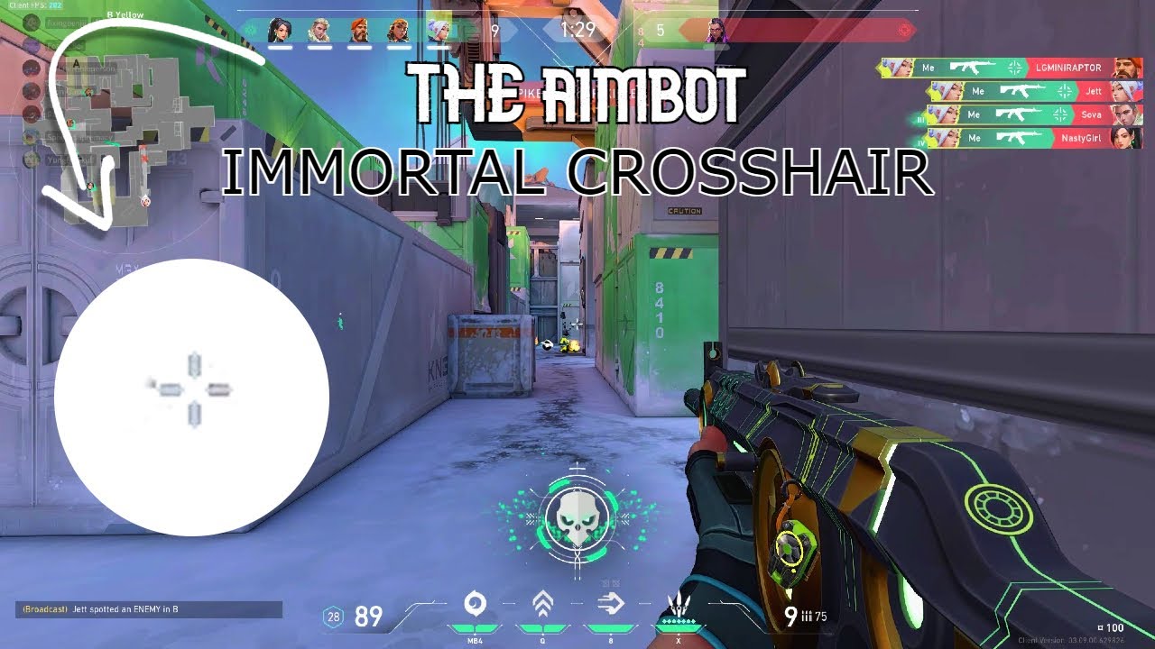 The AIMBOT Immortal Crosshair - YouTube