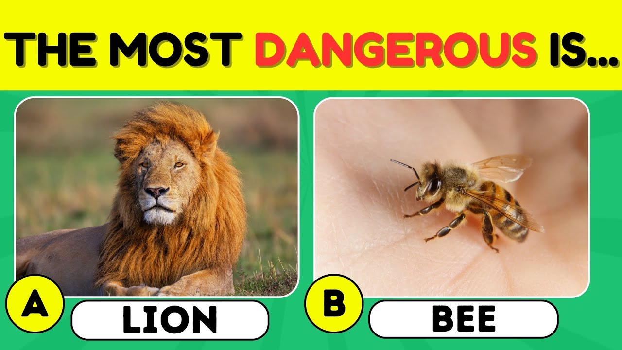 🧠 Ultimate Animal Knowledge Test! | 🐾 How Well Do You Know Animals ...