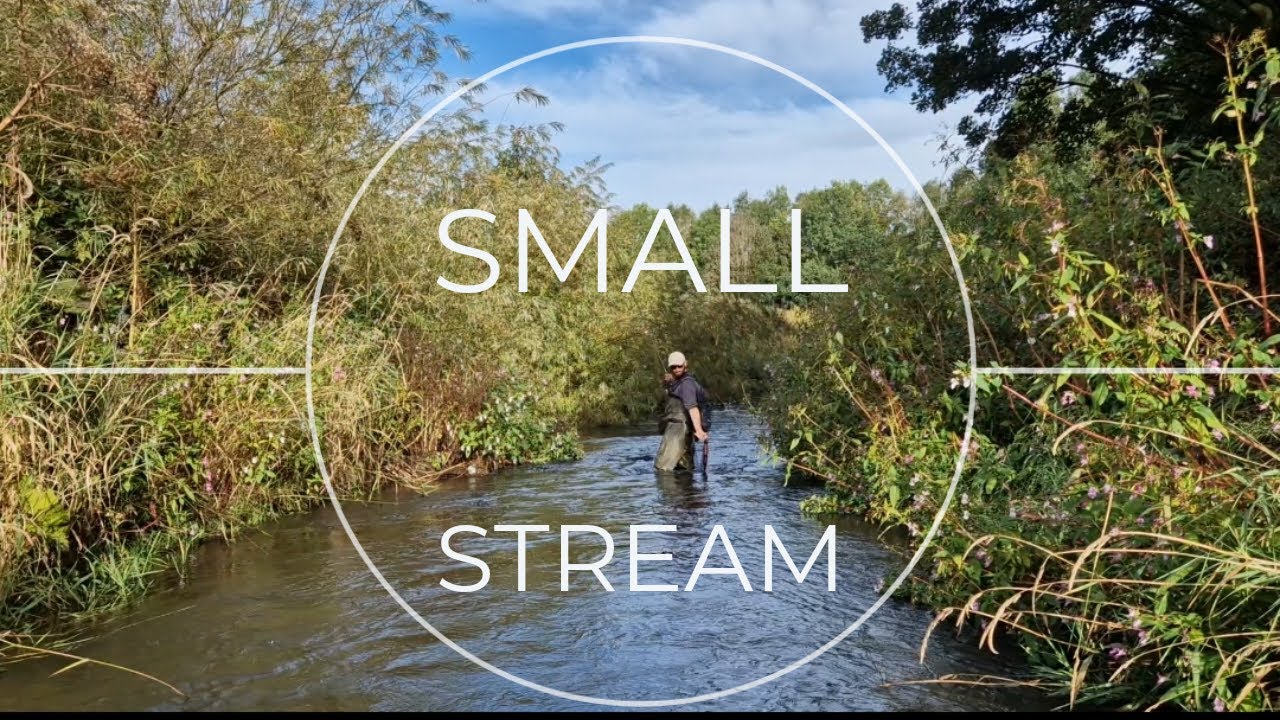 Small Stream Magic - Dace Fishing on an Overgrown River - YouTube
