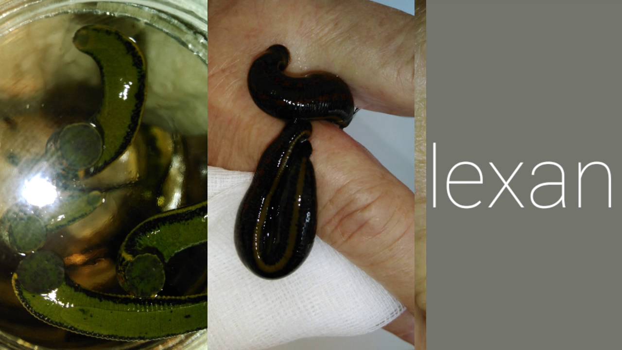 Praxis für Naturheilverfahren Alexandra Nau in Velbert-Langenberg und ...