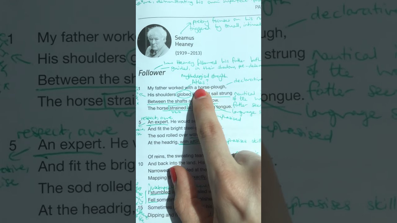 Follower Annotations 1 - YouTube