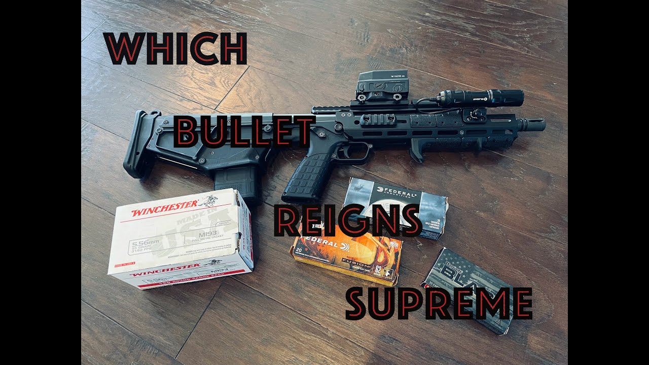 FEED THE BEAST // what does the RDB like to shoot? - YouTube