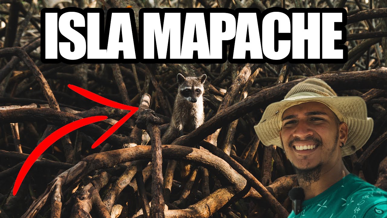 Lo que esconde LA ISLA MAPACHE ES IMPRESIONANTE | Isla Barú 🦝 - YouTube