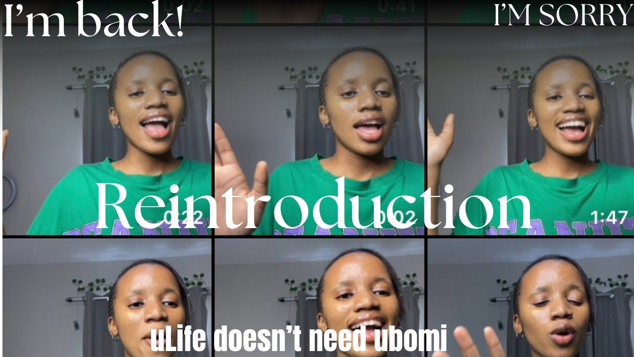 Life update 👡 👡 || Reintroduction and what happened?¿ || South African ...