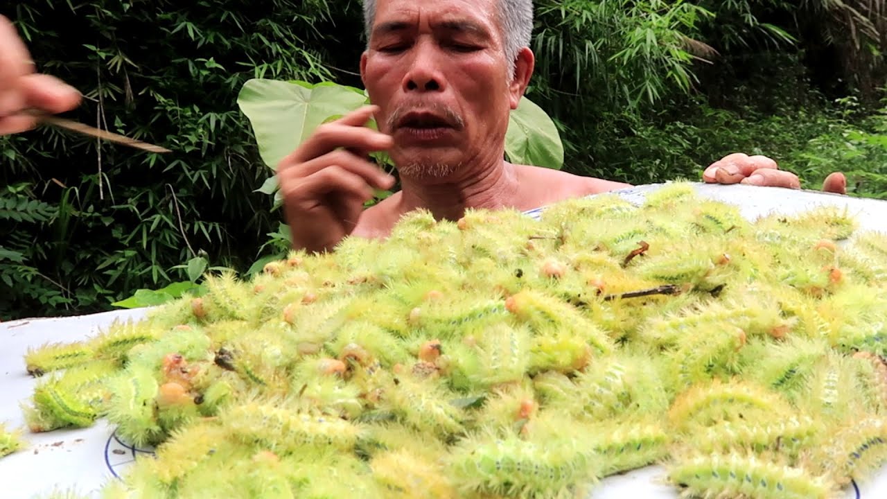 Survival - Find and Eating gold worms - YouTube