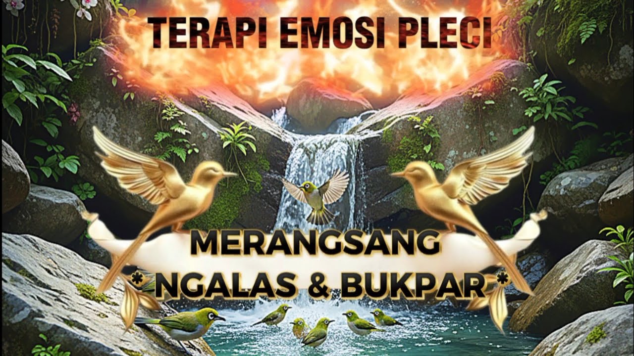 Terapi Emosi Pleci – Merangsang Ngalas & Bukpar - YouTube
