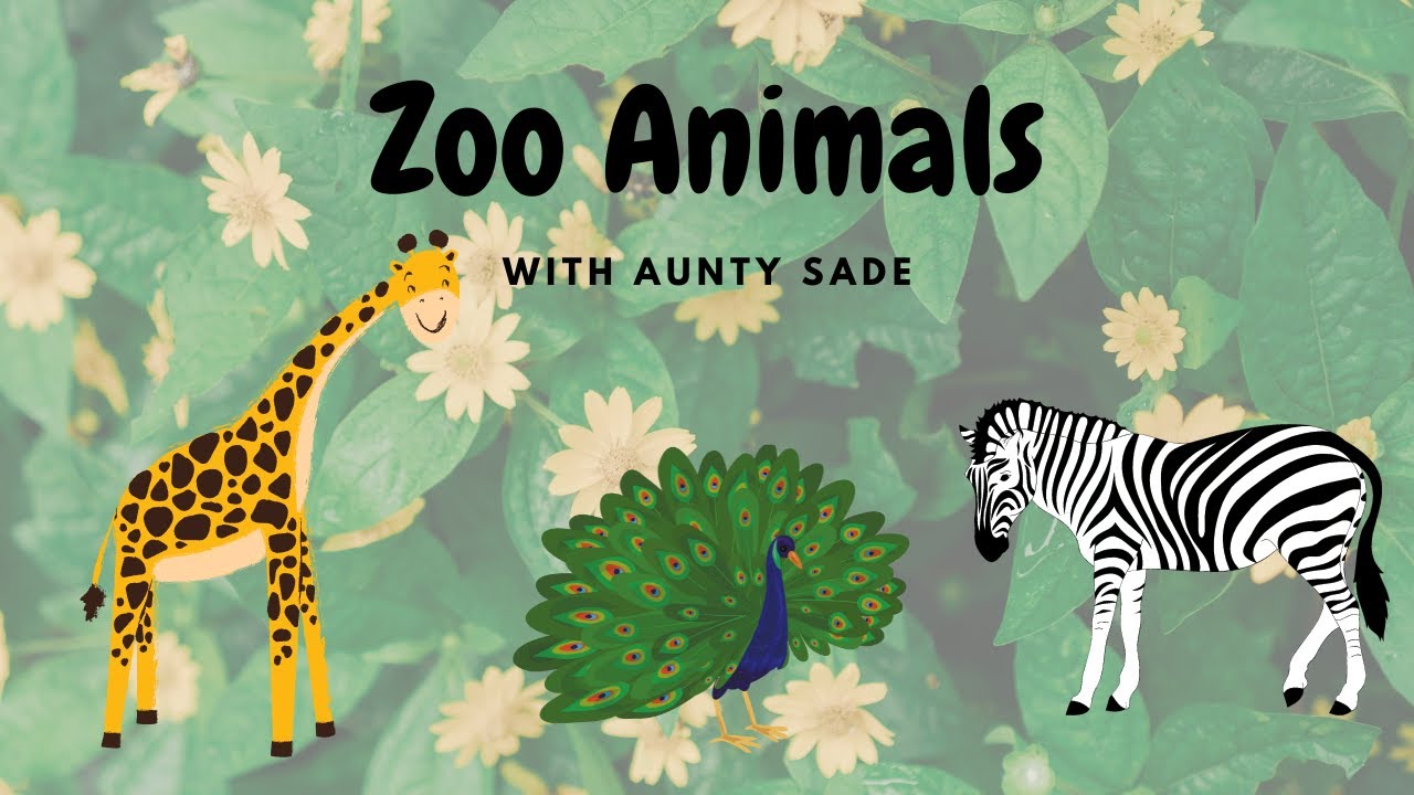 Let's talk about Animals|| Zoo Animals 1 || Vacation activities || Mon ...