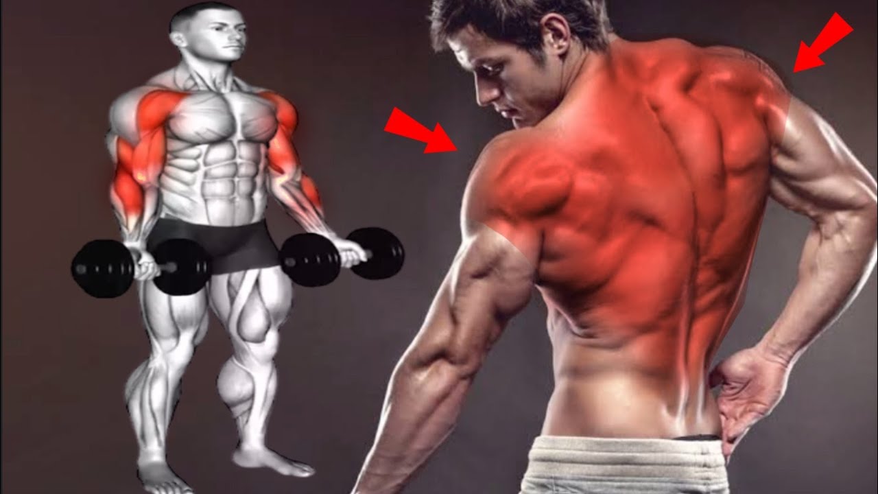 Back Bicep Workout at gym (BIGGER BACK BICEPS) - YouTube