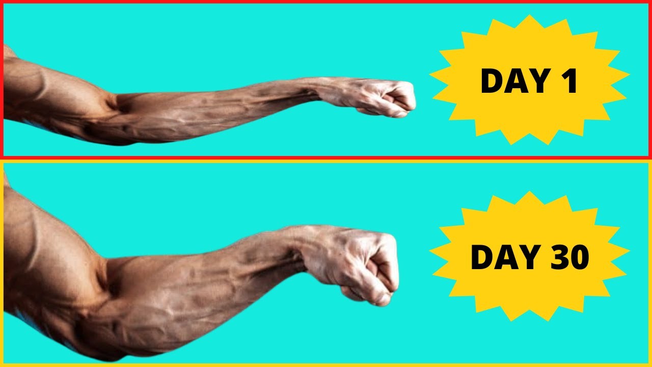 6 Best Effective Exercises For Bigger Forearms | Fast Workout Fast ...