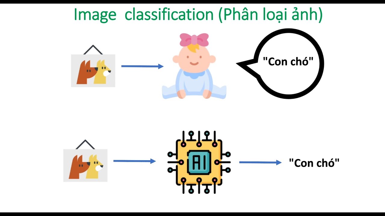 Phân loại ảnh sử dụng convolutional neural network. - YouTube