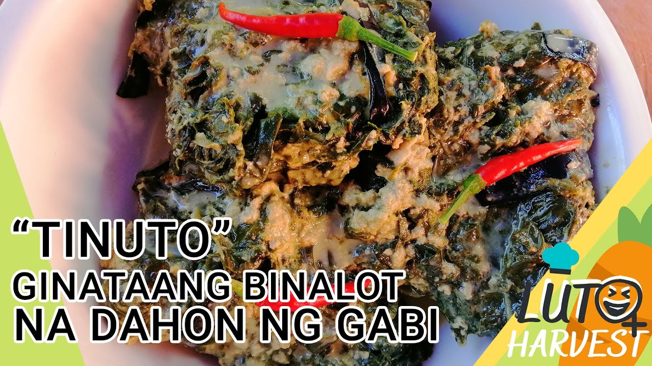 PAANO MAGLUTO NG "TINUTO / PINANGAT"? | GINATAANG BINALOT NA DAHON NG ...