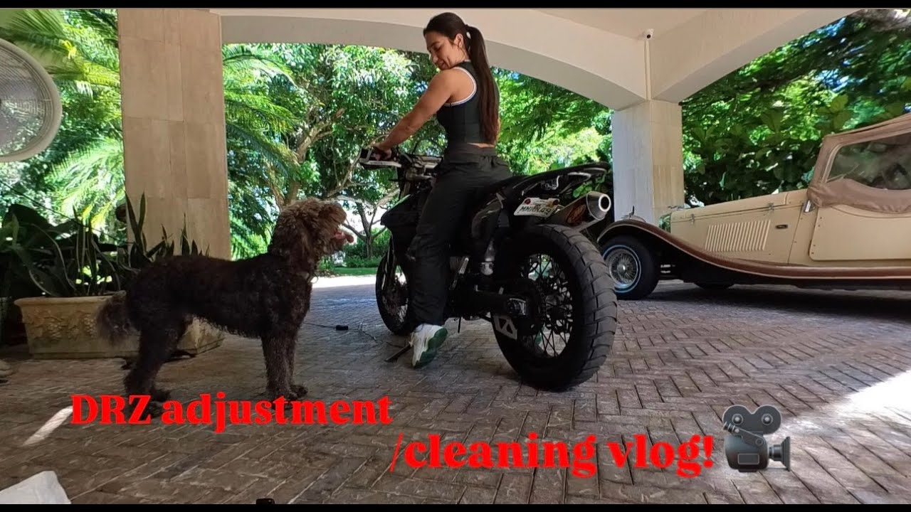DRZ clutch levers/ Pet cleaning vlog! - YouTube