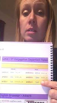 C4W3&4 Latin - 1st Conjugation Imperfect Tense - YouTube