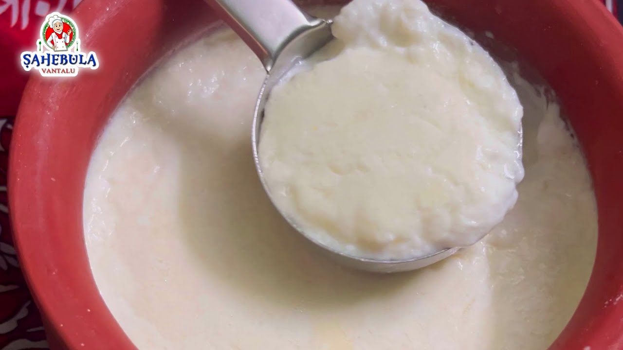 How To Make Tasty & Thick Curd at Home With Buffalo Milk in Telugu ...